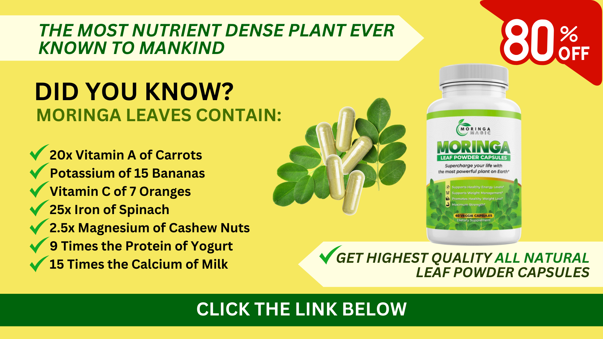 Moringa Magic – Health Tech Fusion